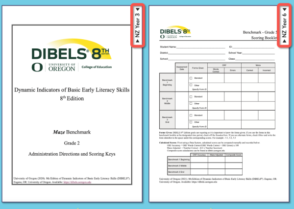 NZ-Friendly DIBELS 8 materials – Sound Foundations for Literacy