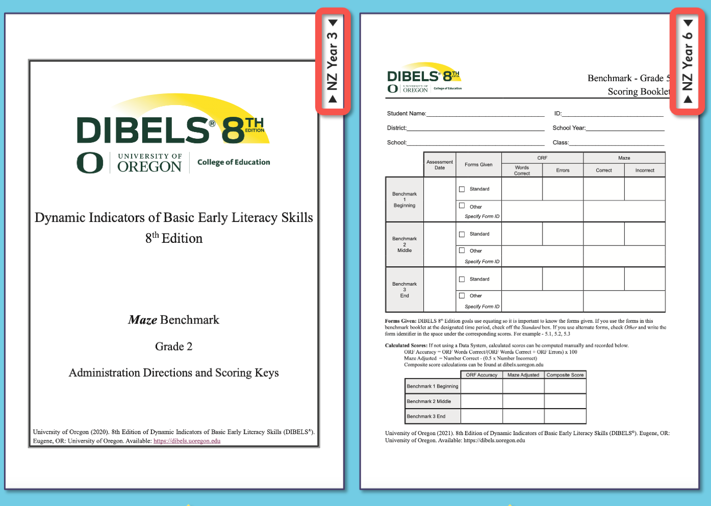 NZ Friendly DIBELS 8 Materials Sound Foundations For Literacy NZ Friendly DIBELS 8 Materials Sound Foundations For Literacy