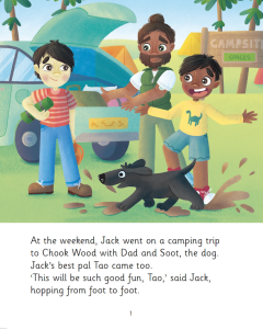 Sounds-Write Extended Code: ‘First Steps’ decodable stories (Set of 10 ...