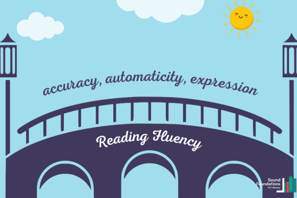 Fluency Fundamentals Building The Bridge From Decoding To Comprehension Sound Foundations For